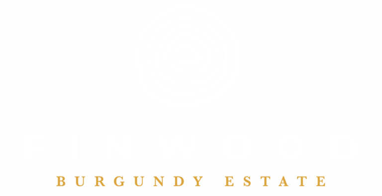 finwood.capetown – Burgundy Estate, Cape Town